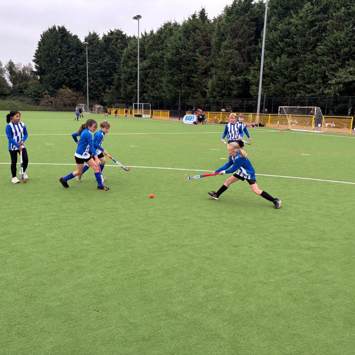 Forest View Primary School - Hockey Event