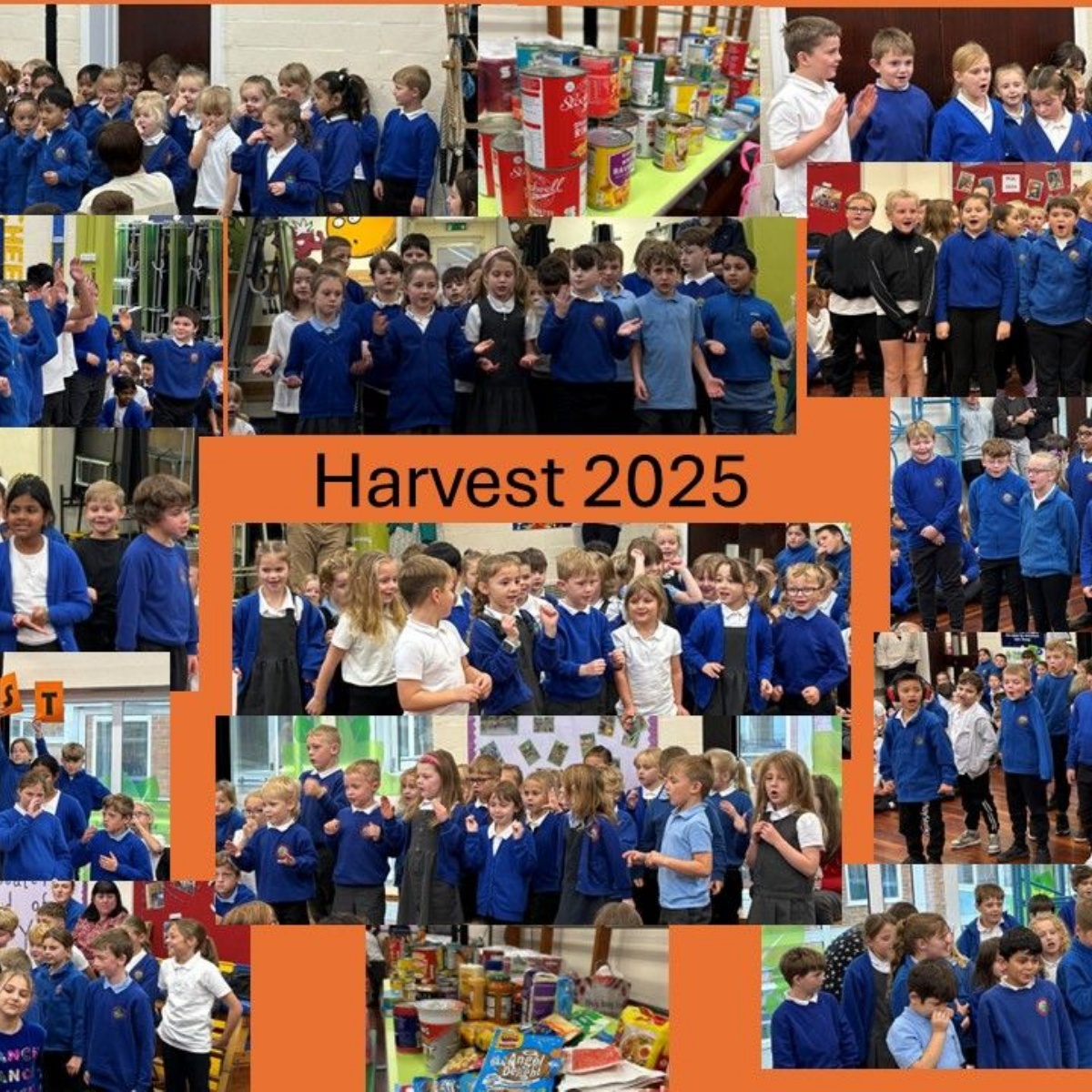 Forest View Primary School - Harvest