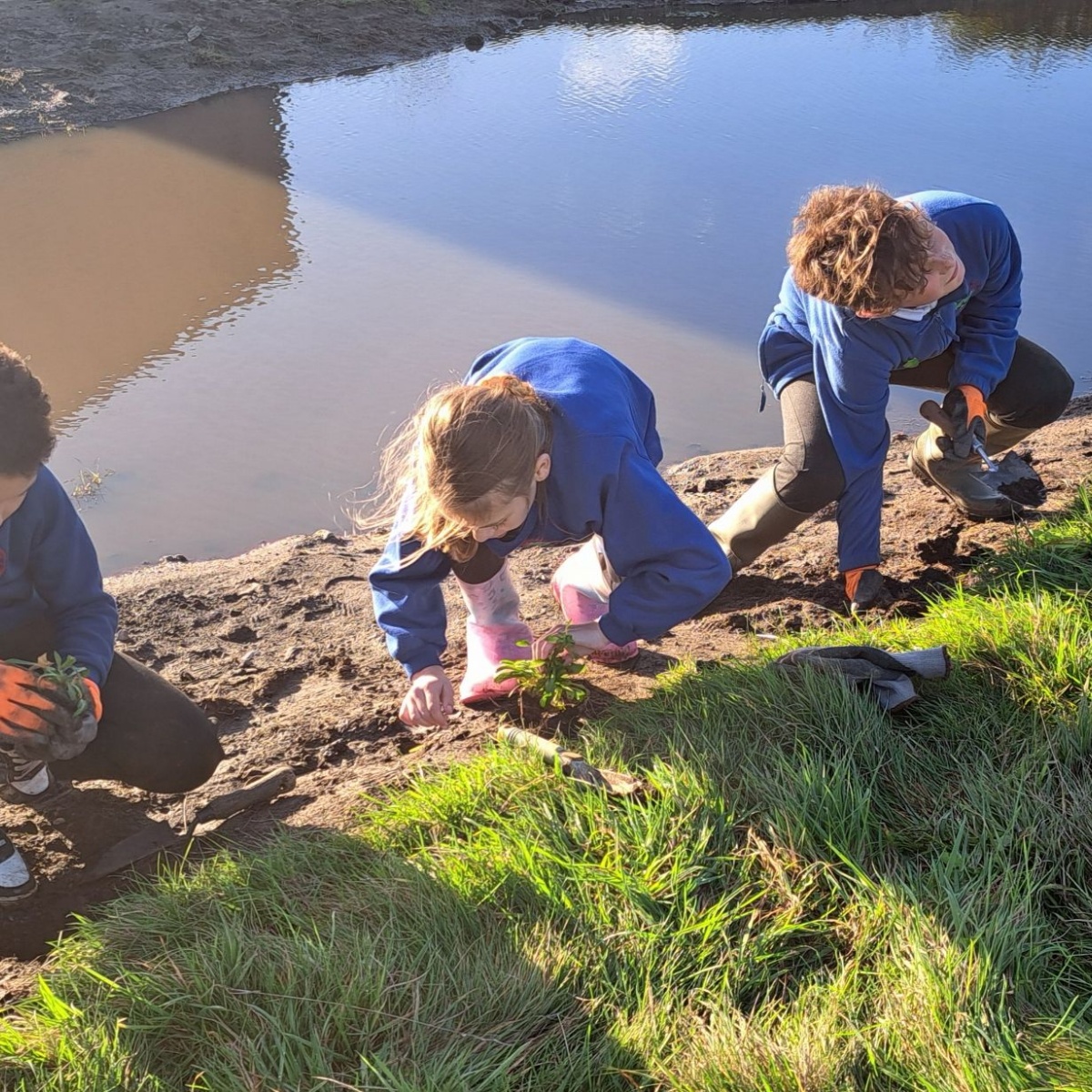 Forest View Primary School - Eco-Council