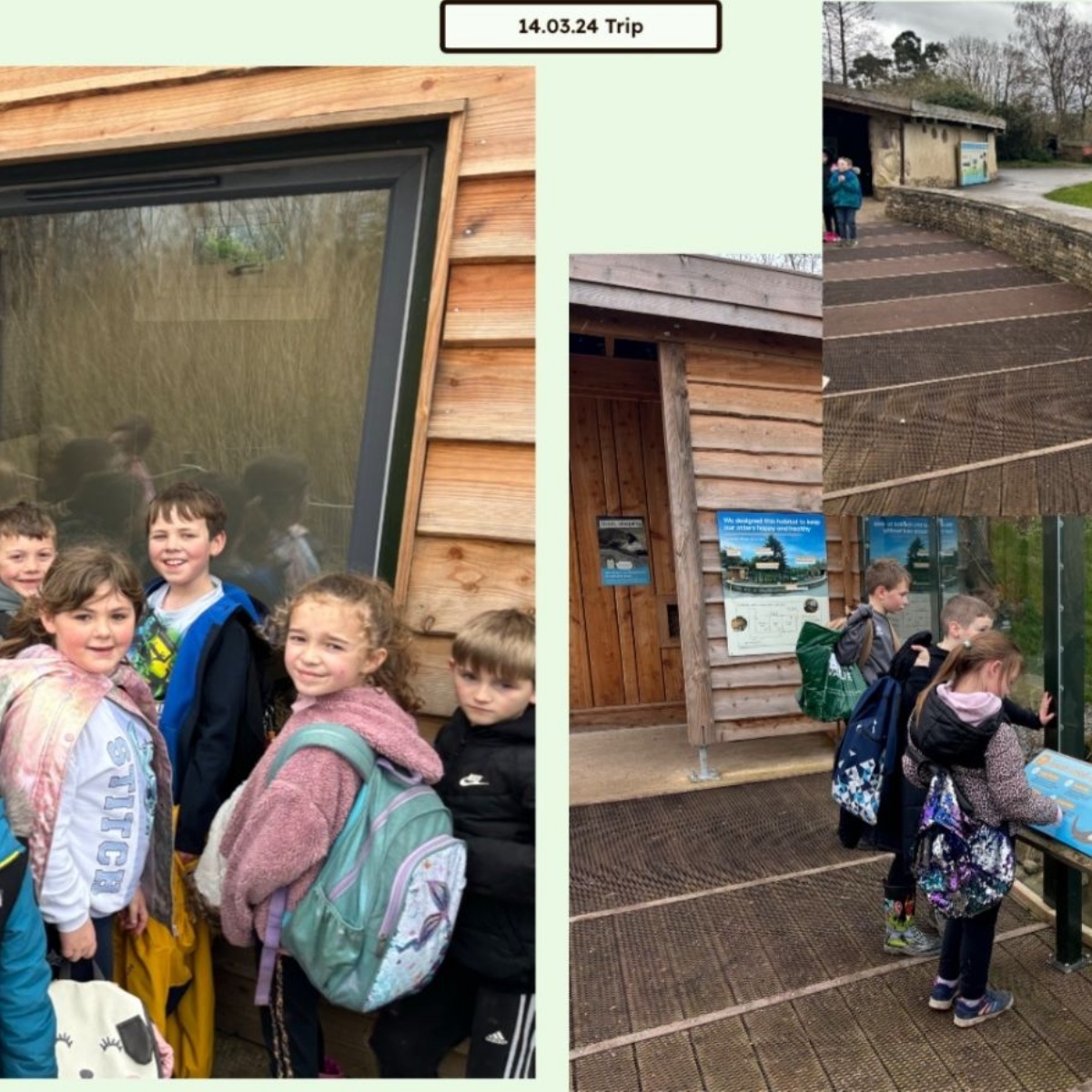 Forest View Primary School - 14/3/24 - Y3/4 Slimbridge Trip