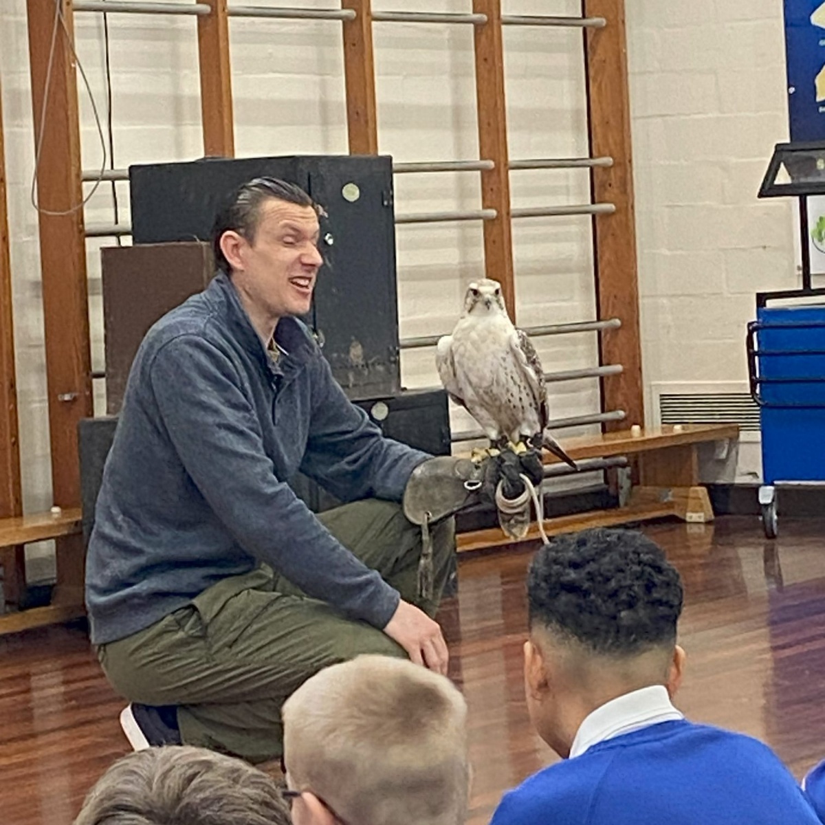 Forest View Primary School - Birds of Prey